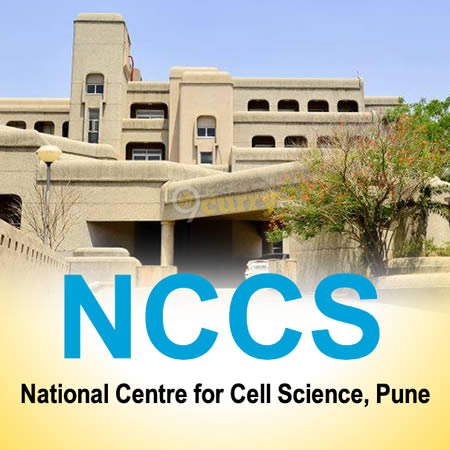NCCS Recruitment 2020 Apply Online Job Vacancies 18 May 2020