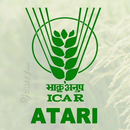 ATARI Recruitment 2020 Apply Online Job Vacancies 18 May 2020