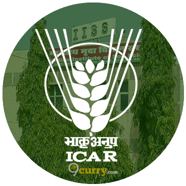 IISS Recruitment 2021 Apply Online Job Vacancies 19 April 2021