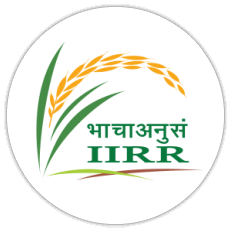 IIRR Recruitment 2020 Apply Online Job Vacancies 05 July 2020