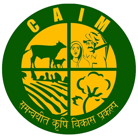 CAIM Recruitment 2020 Apply Online Job Vacancies 05 July 2020