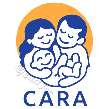 CARA Recruitment 2020 Apply Online Job Vacancies 18 May 2020