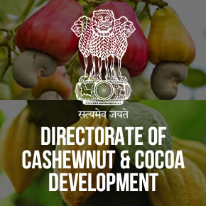 DCCD Recruitment 2020 Apply Online Job Vacancies 21 December 2020