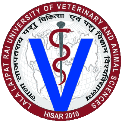 LUVAS Recruitment 2024 Apply Online Job Vacancies 07 September 2024