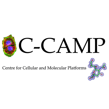 CCAMP Recruitment 2020 Apply Online Job Vacancies 05 July 2020
