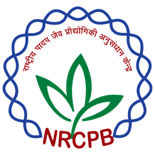 NRCPB Recruitment 2021 Apply Online Job Vacancies 21 July 2021